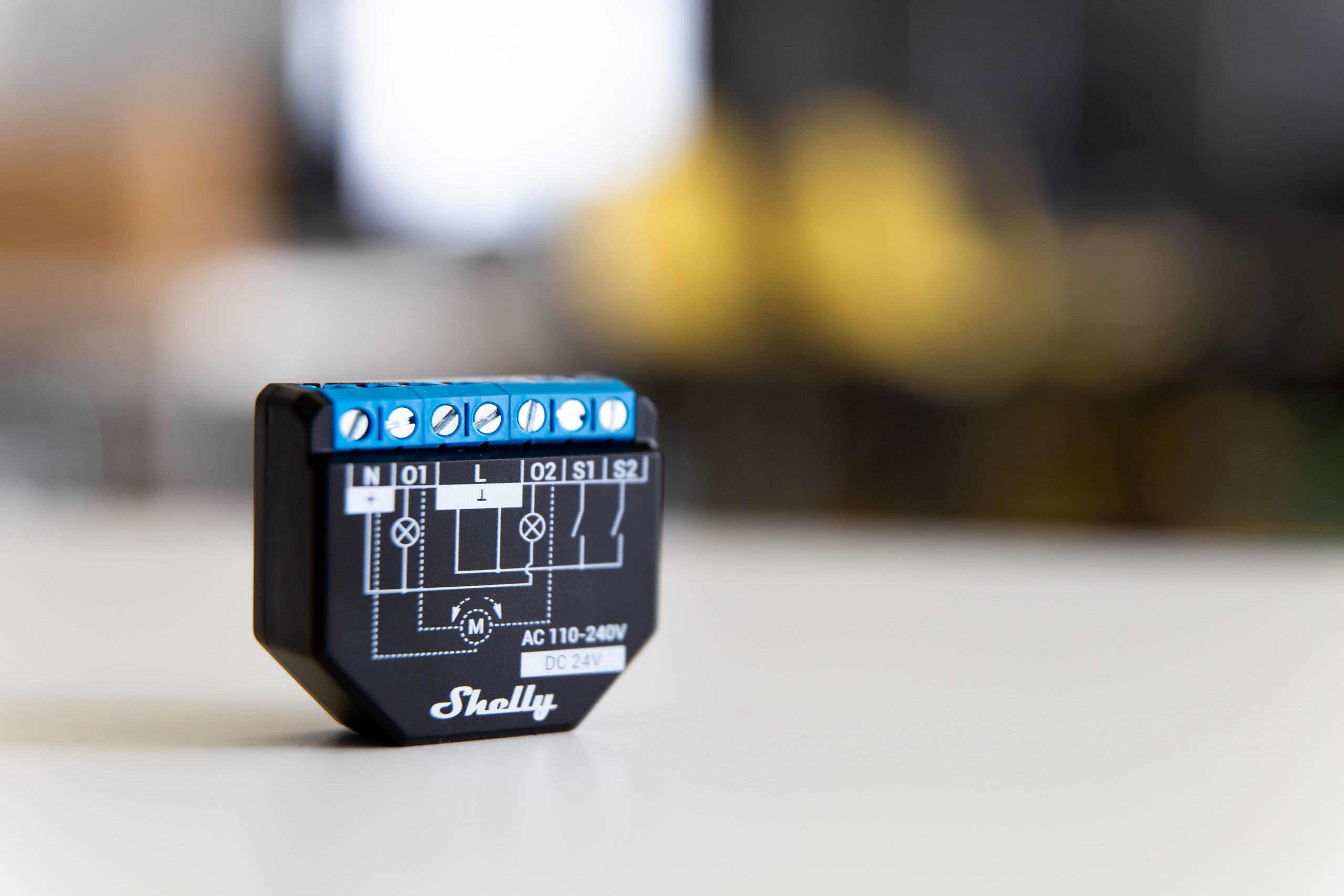 Shelly Plus: la gamma di relè che trasforma la casa più smart